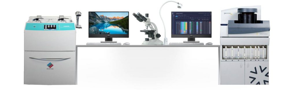 Prime Pathology – histopathological and cytological services in Israel ...